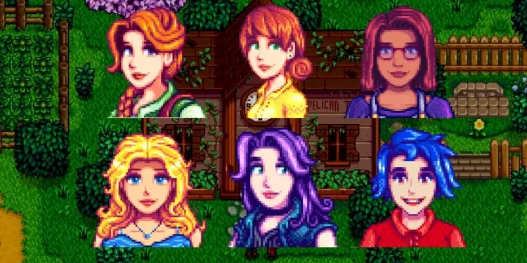 Stardew Valley Female Characters The Best to Marry